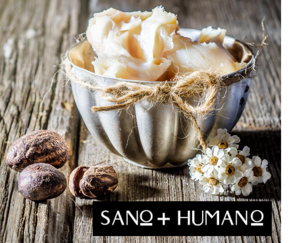 Power of the Shea Nut - 22 reasons to use it! – SANO+HUMANO NZ